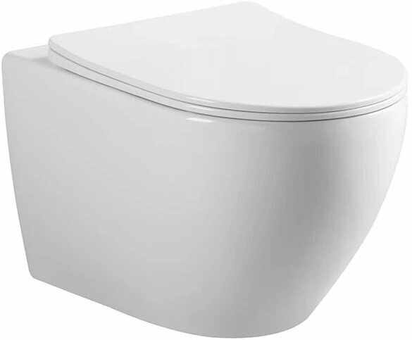 Унитаз подвесной Vincea Esse VT1-211 безободковый, с сиденьем микролифт, белый