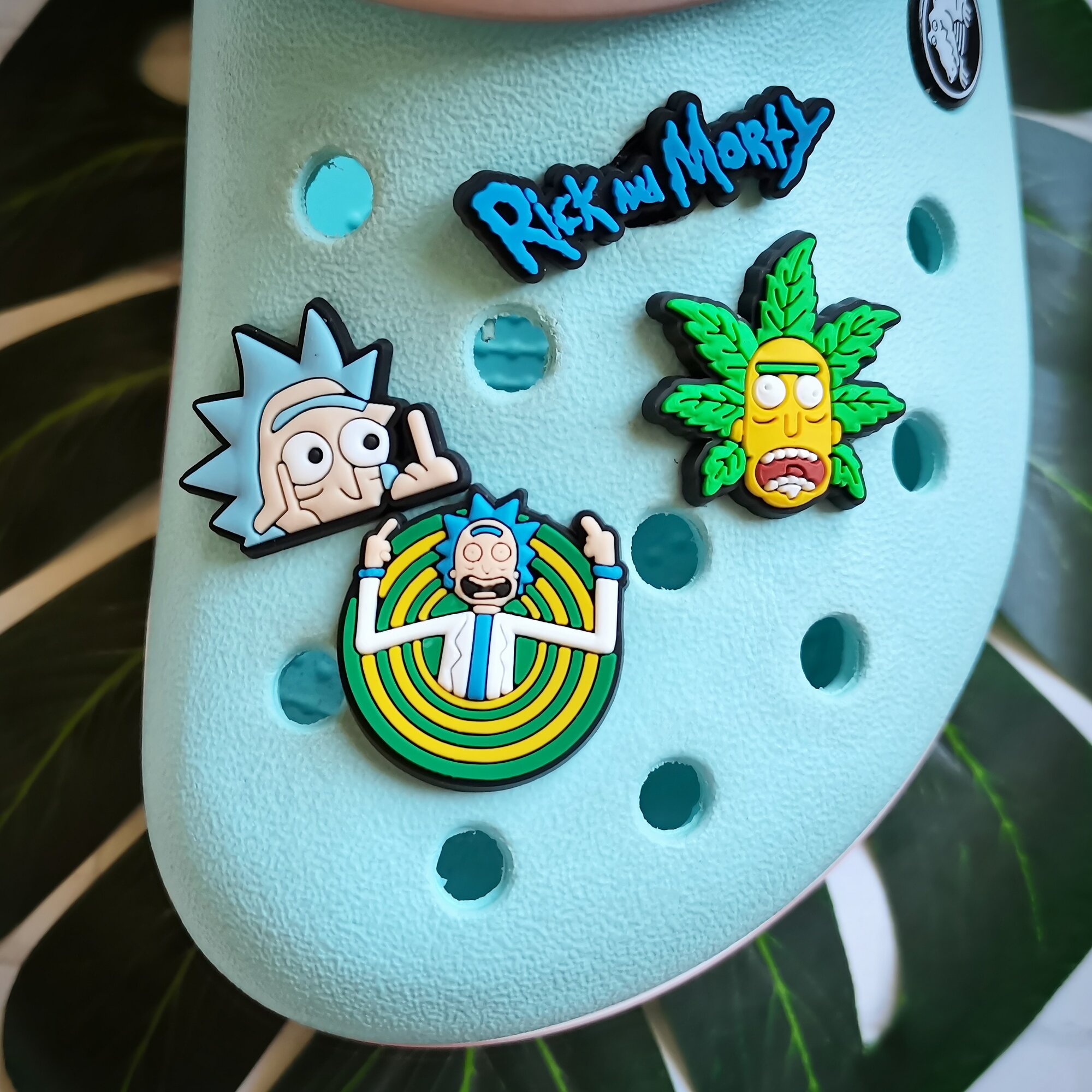 Джибитс для crocs Рик и Морти