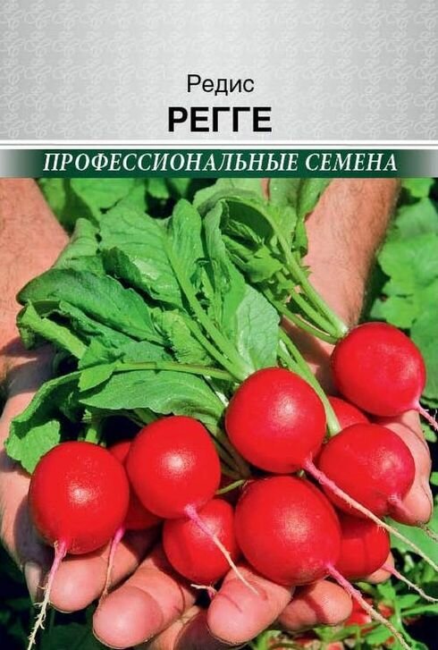 Редис Регге