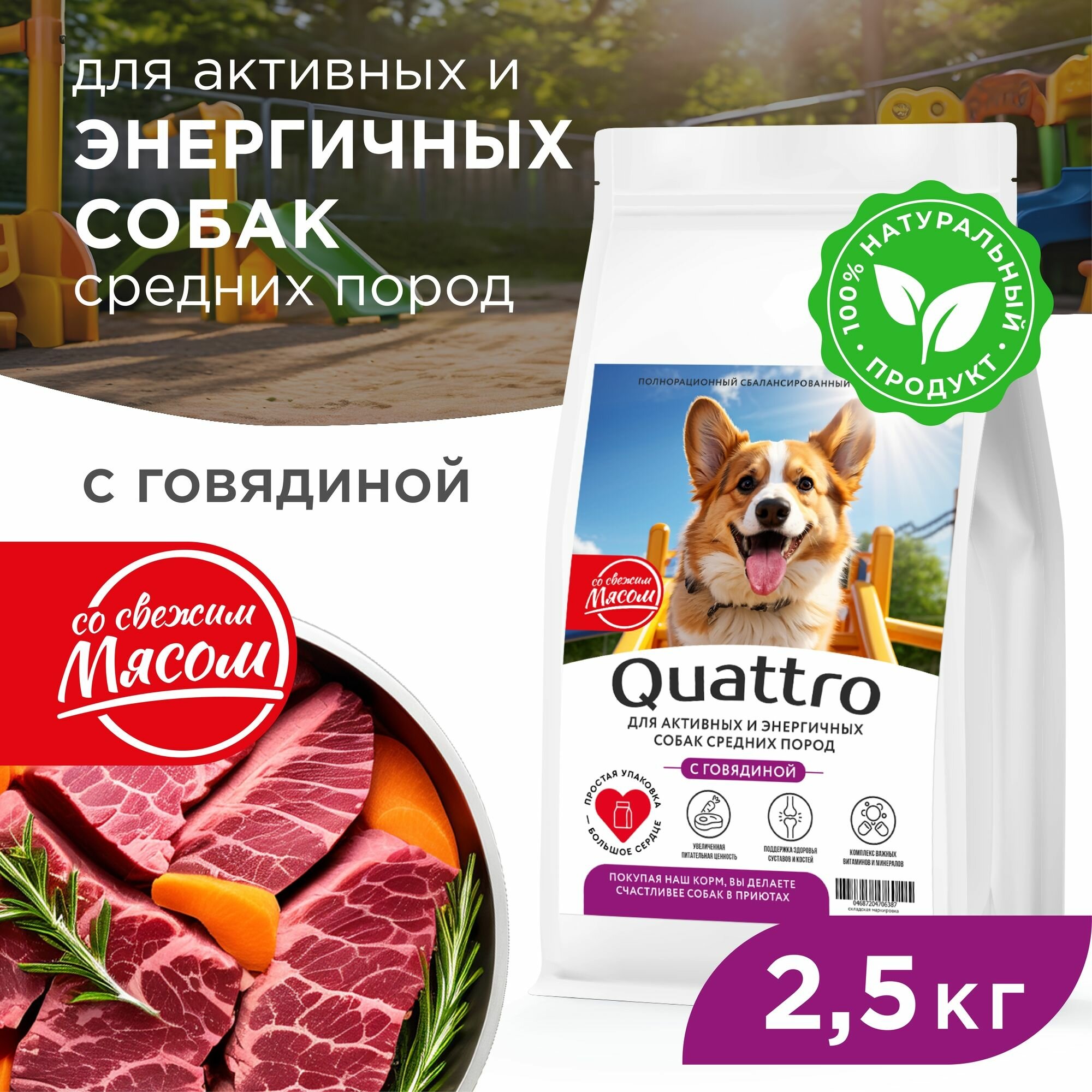 Корм сухой для взрослых собак средних пород, премиум полнорационный комплекс, для активных и энергичных, с говядиной, 2,5 кг, QUATTRO