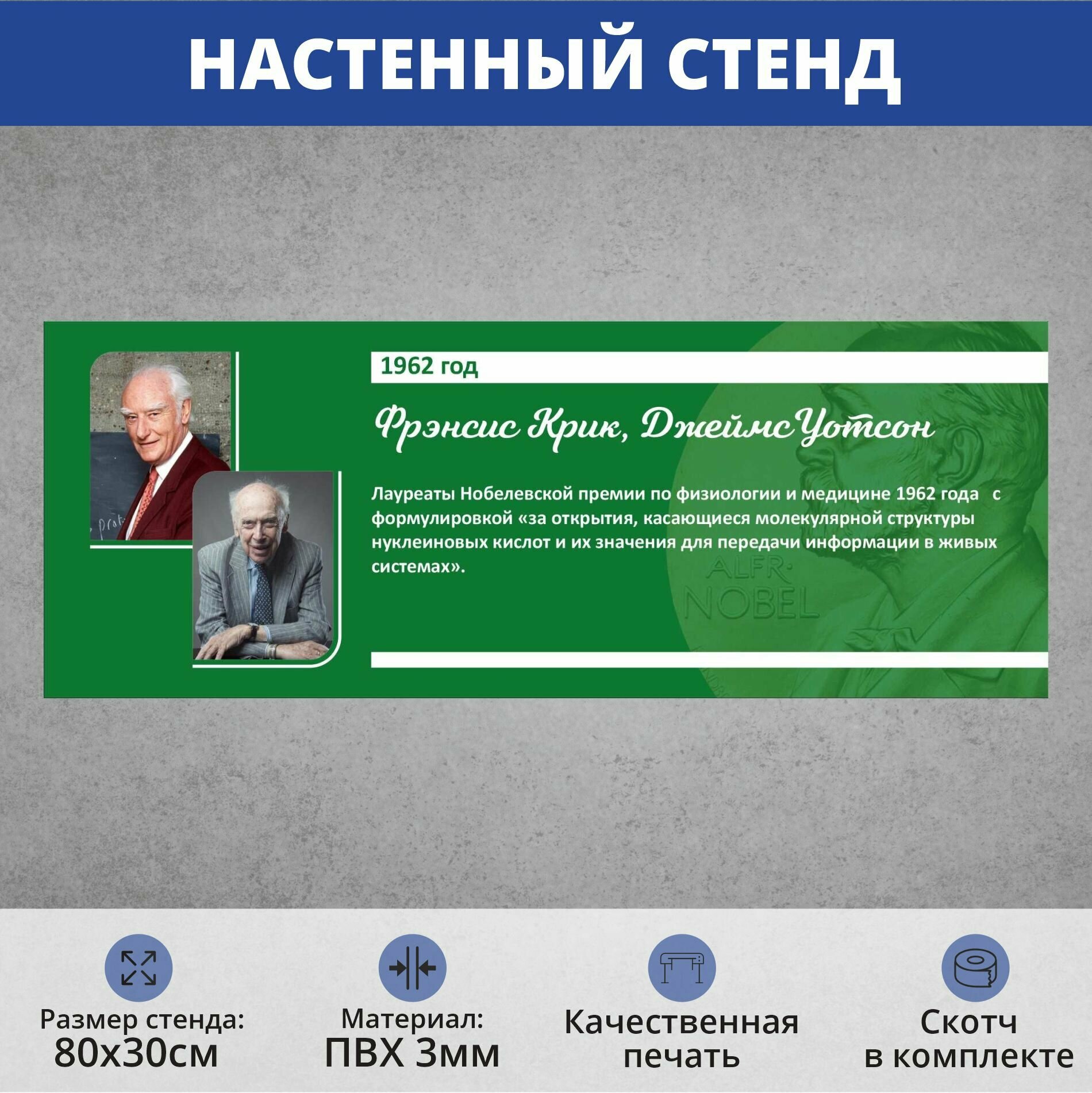 Информационный стенд медицинский "Френсис Крик, Джеймс Уотсон" (800х300мм)