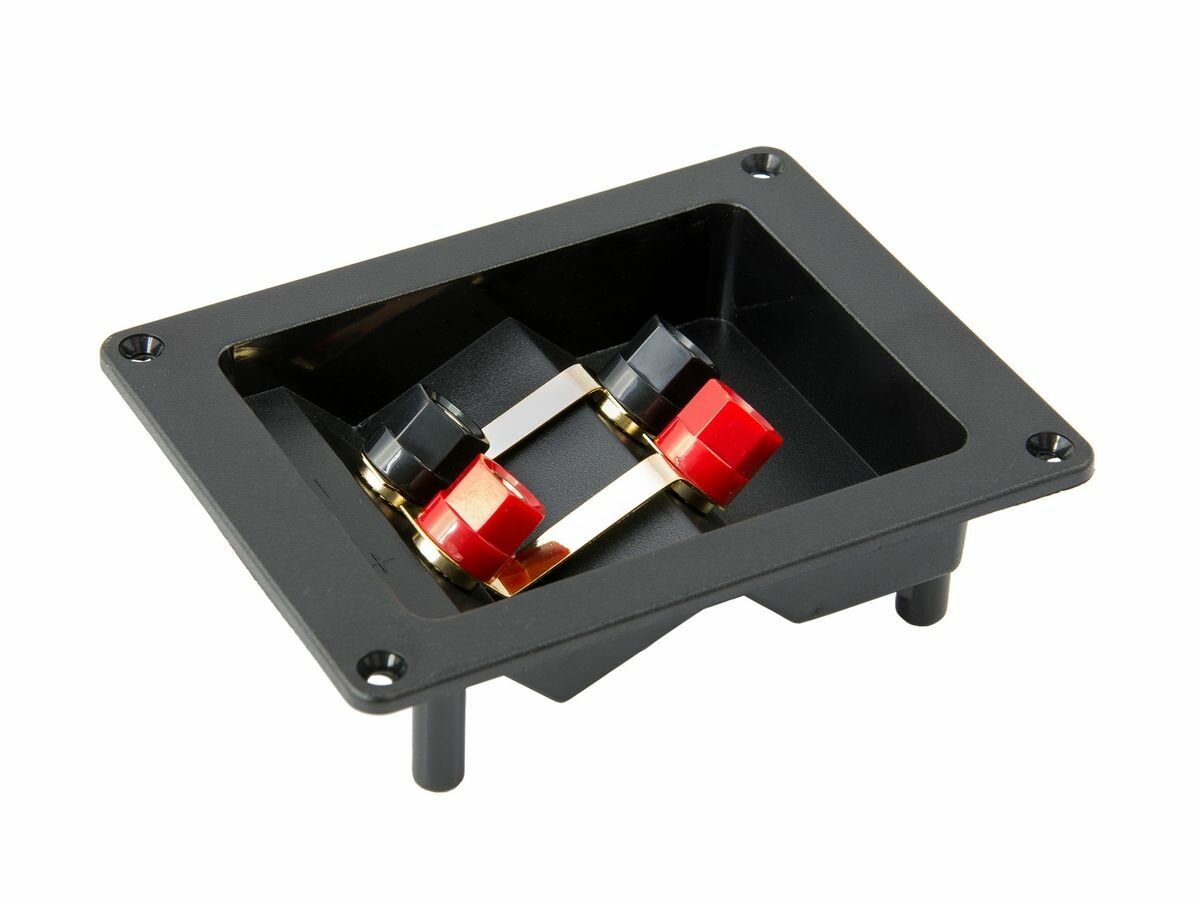 Терминал для подключения акустики AurA WTB-931P