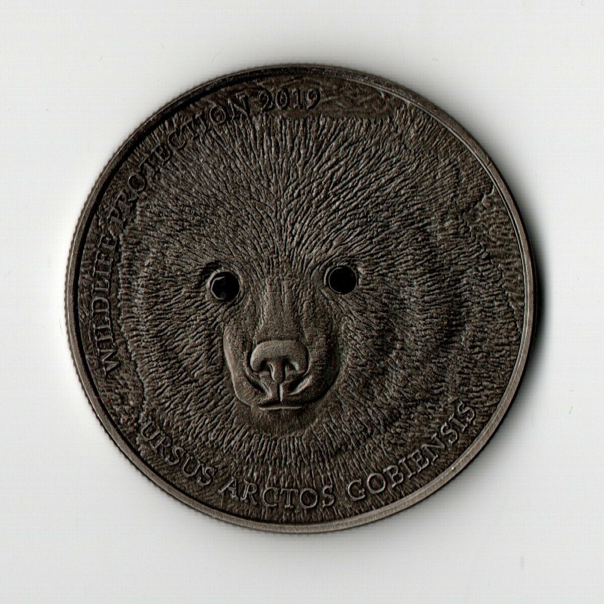 Жетон 500 тугриков 2019 года. Монголия. Медведь пустыни Гоби посеребрение. Красная книга цветные глаза.