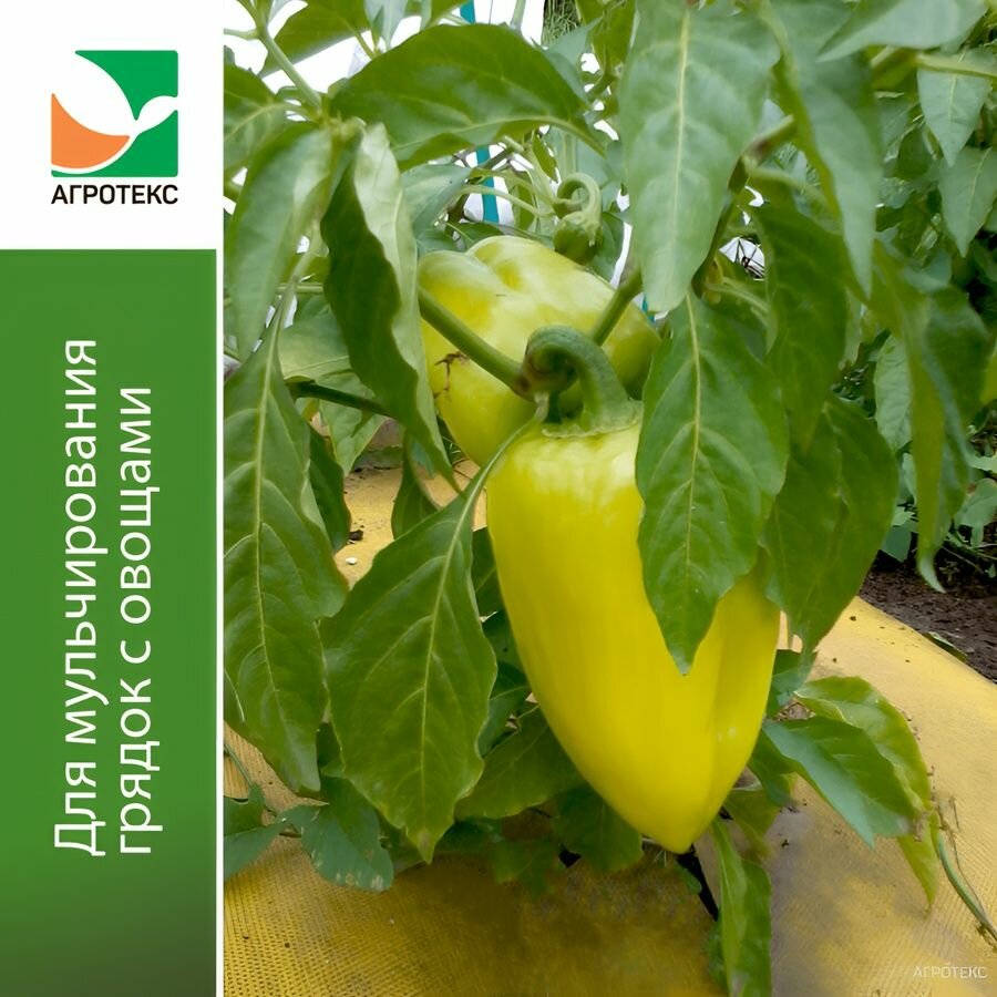 Двухслойный мульчирующий материал 80 Агротекс 1,6*5м (Желто-черный)