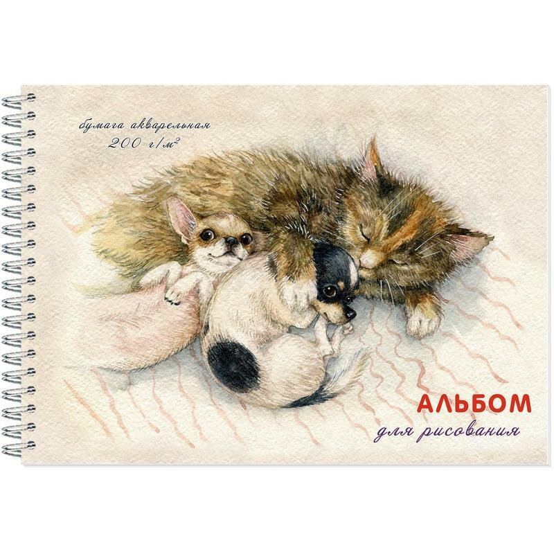 Альбом для рисования Полином, Спящие дружочки, А4, 20 листов