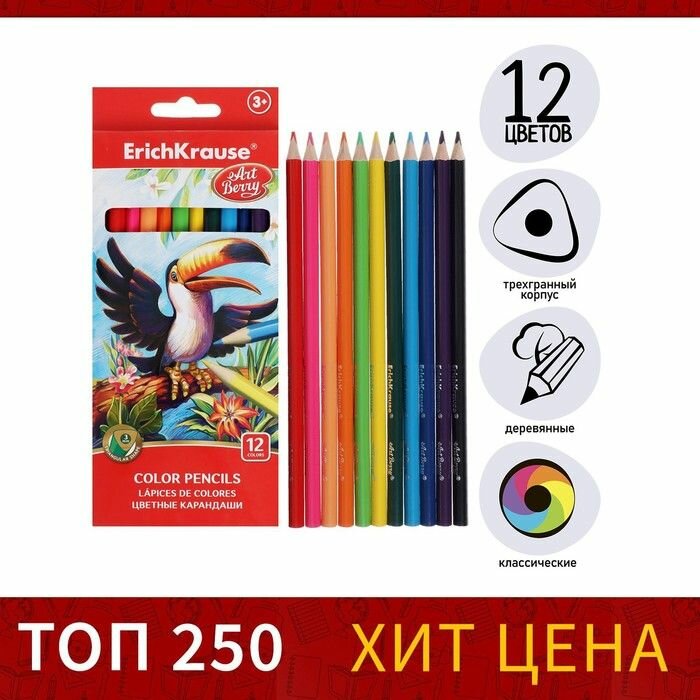 Карандаши цветные Erich Krause 12 цветов, трехгранные, заточенные (32479)