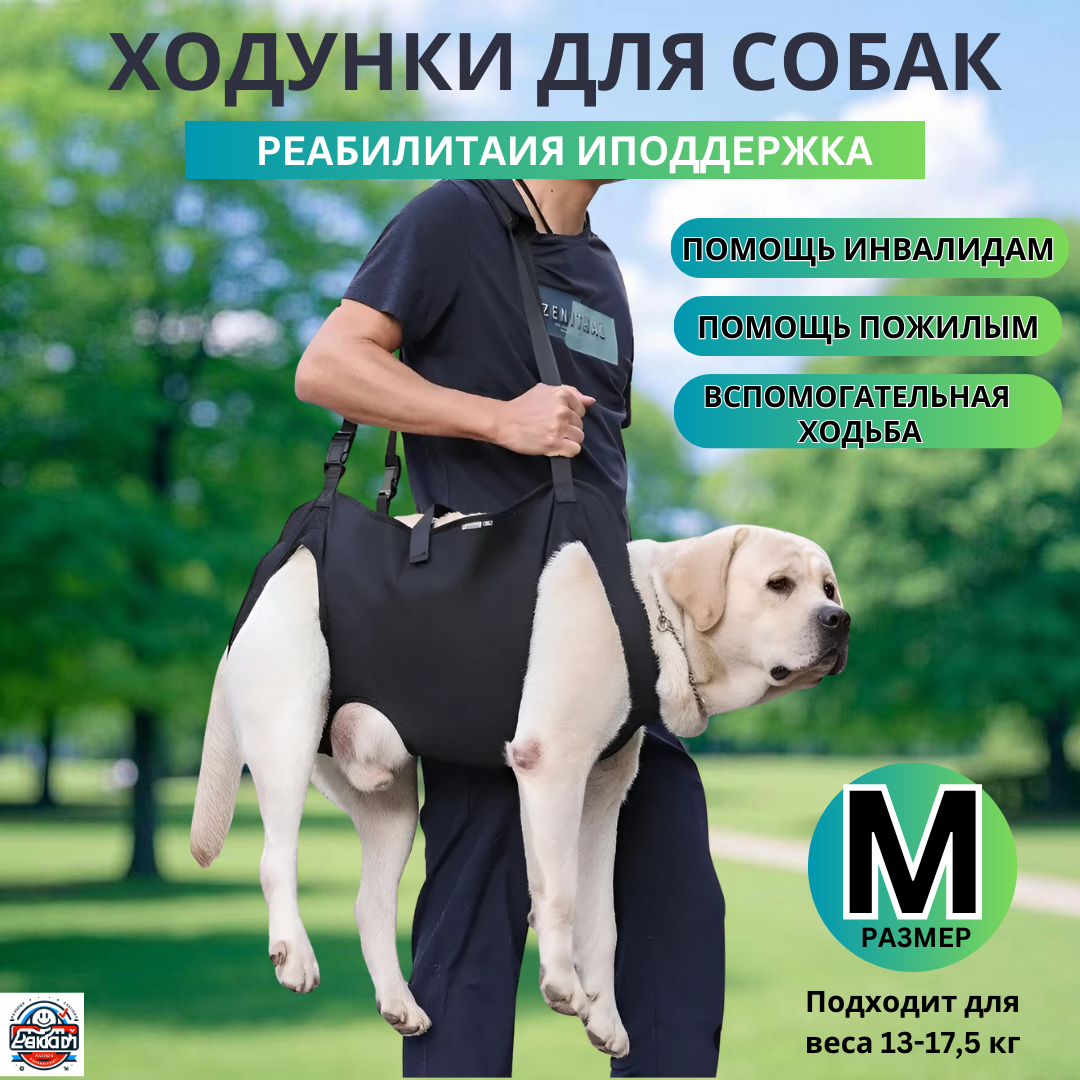 Ходунки для собак с поддержкой задних лап, шлейка для пожилых и травмированных питомцев, размер M, удобство и комфорт