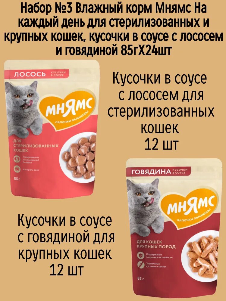 Набор №3 Влажный корм Мнямс для стерилизованных кошек, кусочки в соусе с лососем и говядиной, 24 шт х 85 гр
