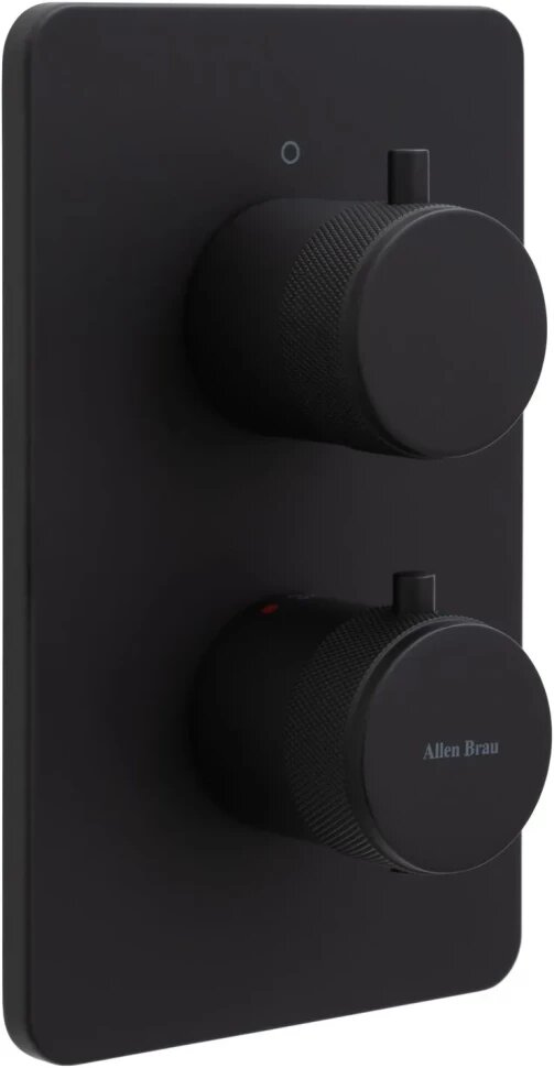 Термостат для душа Allen Brau Priority 5.31113-31 встраиваемый, черный матовый
