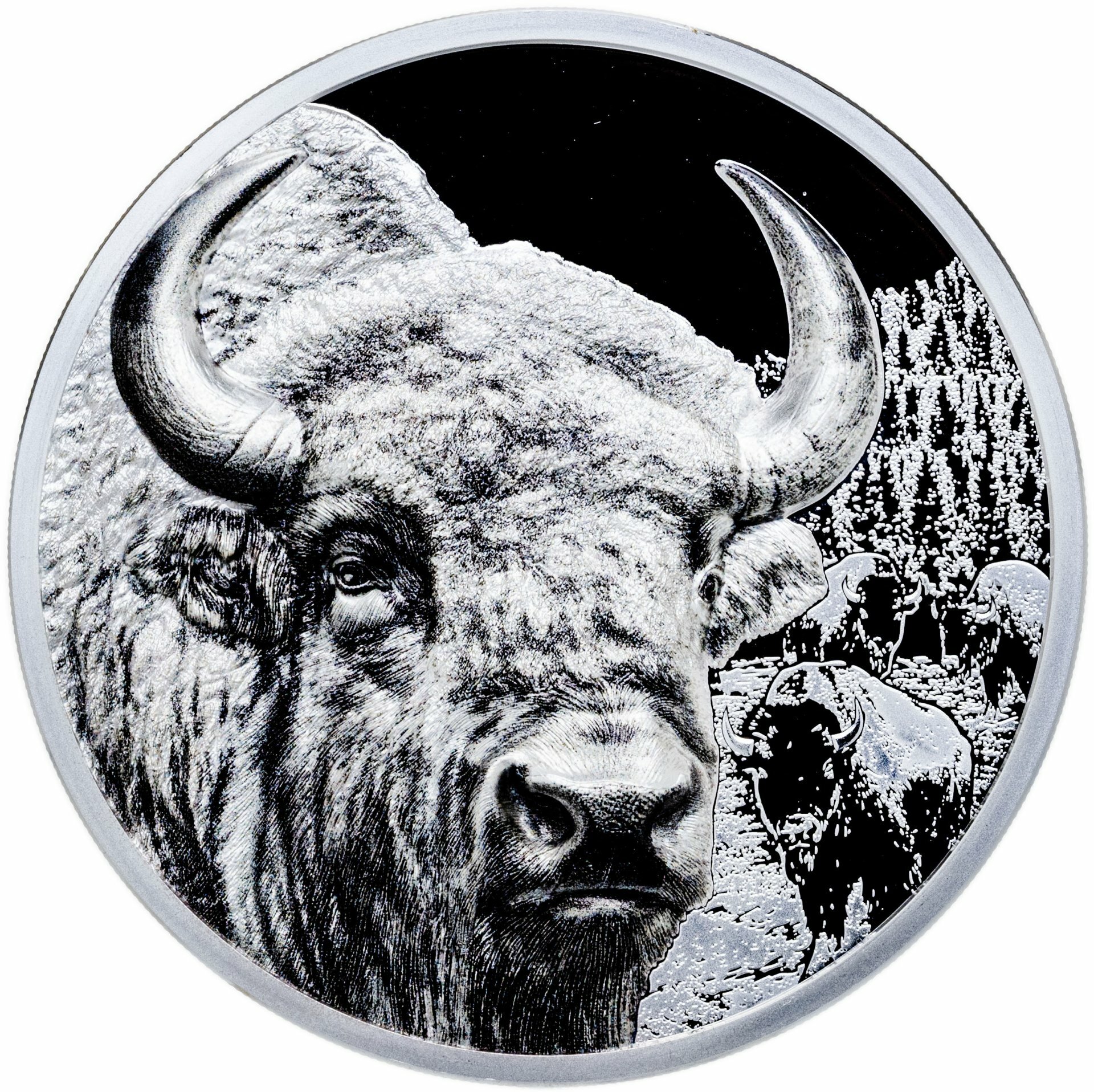 Монголия 2000 тугриков 2025 "Мистический Бизон", в футляре с сертификатом, Серебро 999, в сохранности Proof