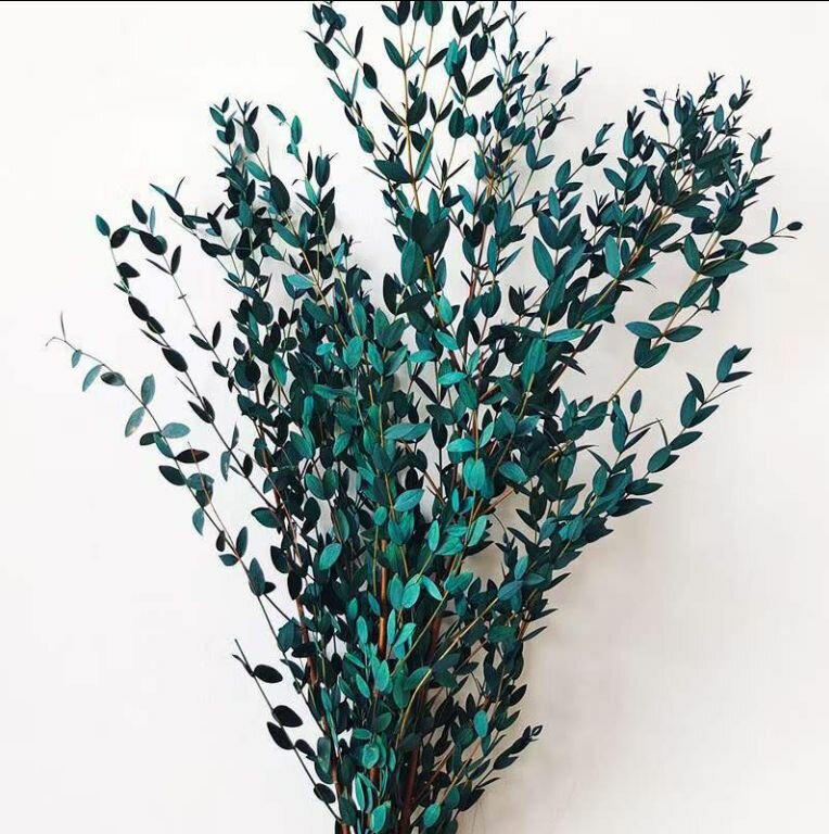 Сухоцветы для вазы Эвкалипт стабилизированный, букет из сухоцветов