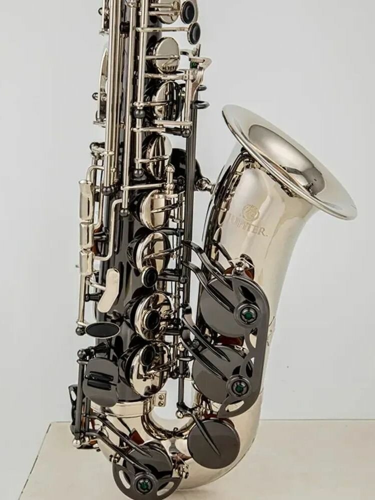 JAS1100 Новый альт-саксофон EB Tone Деревянный духовой инструмент с аксессуарами