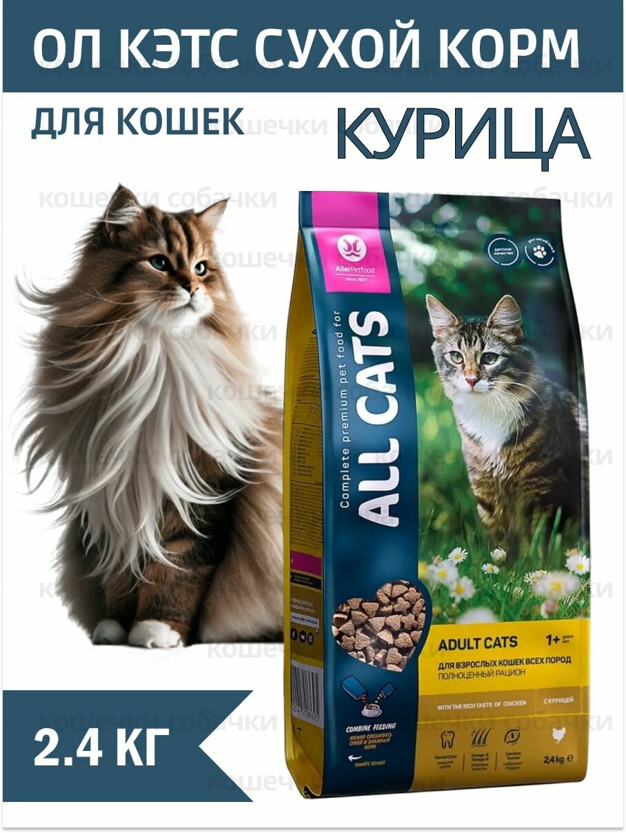 All Cats сухой корм для кошек с Цыплёнком 2,4кг