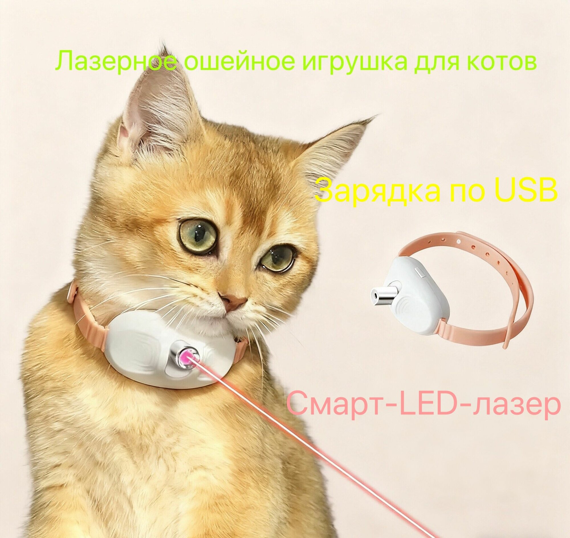 Лазерный ошейник для кота уникальный и забавный кошачий артефакт для вашего питомца