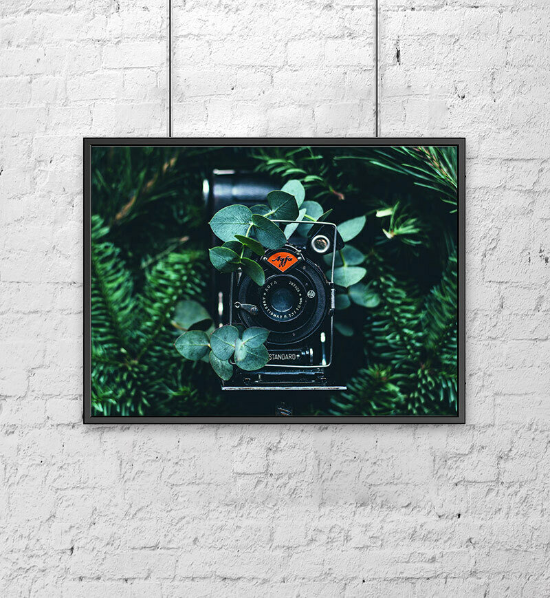 Постер для интерьера на стену (30х40 см). Ретро пленочный фотоаппарат Agfa в зелени / постеры картины для интерьера, постеры для интерьера, постер на стену, картина на стену, картина на кухню, плакат, декор и интерьер