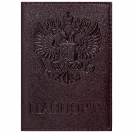 Обложка BRAUBERG