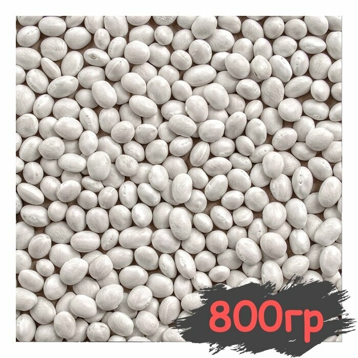 Фасоль Белая сахарная 800 гр, Фасоль белая, Фасоль очищенная натуральная, Вегетарианский продукт, Vegan