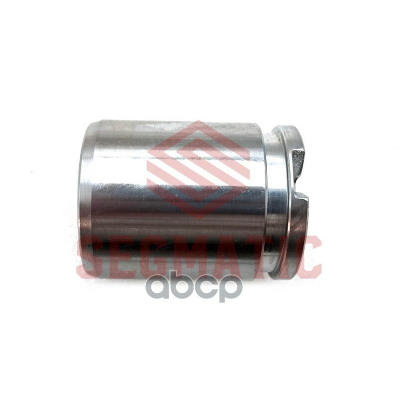 Поршень Суппорта Vw Tiguan / Passat 2005- 3C2 + Cc / Audi A6 2 0Tfsi 3 2Fsi / Volvo S60 Ii 2010 SEGMATIC арт. SG500087