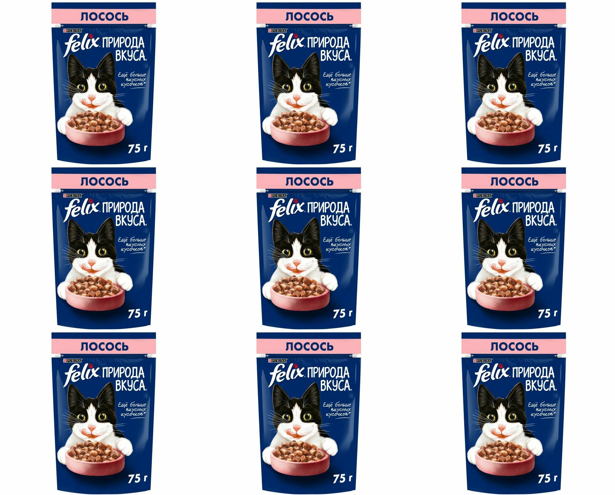 Felix влажный корм для взрослых кошек, Природа вкуса, с лососем, 75 г, 9 шт