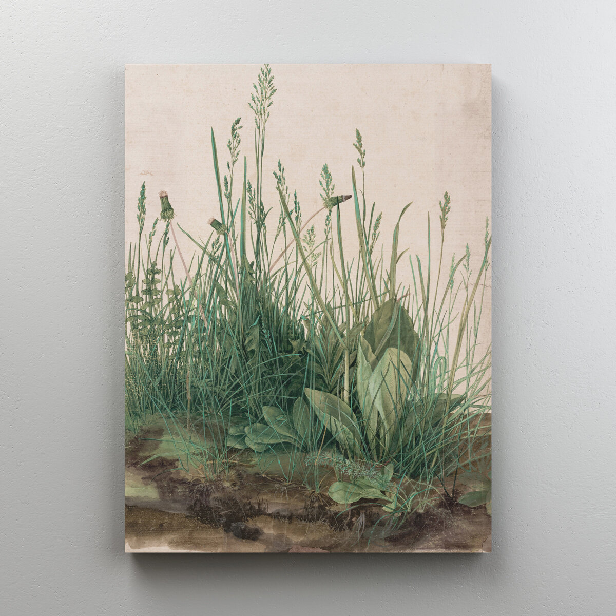 Интерьерная картина на холсте, репродукция "Большой кусок луга - Альбрехт Дюрер" размер 22x30 см