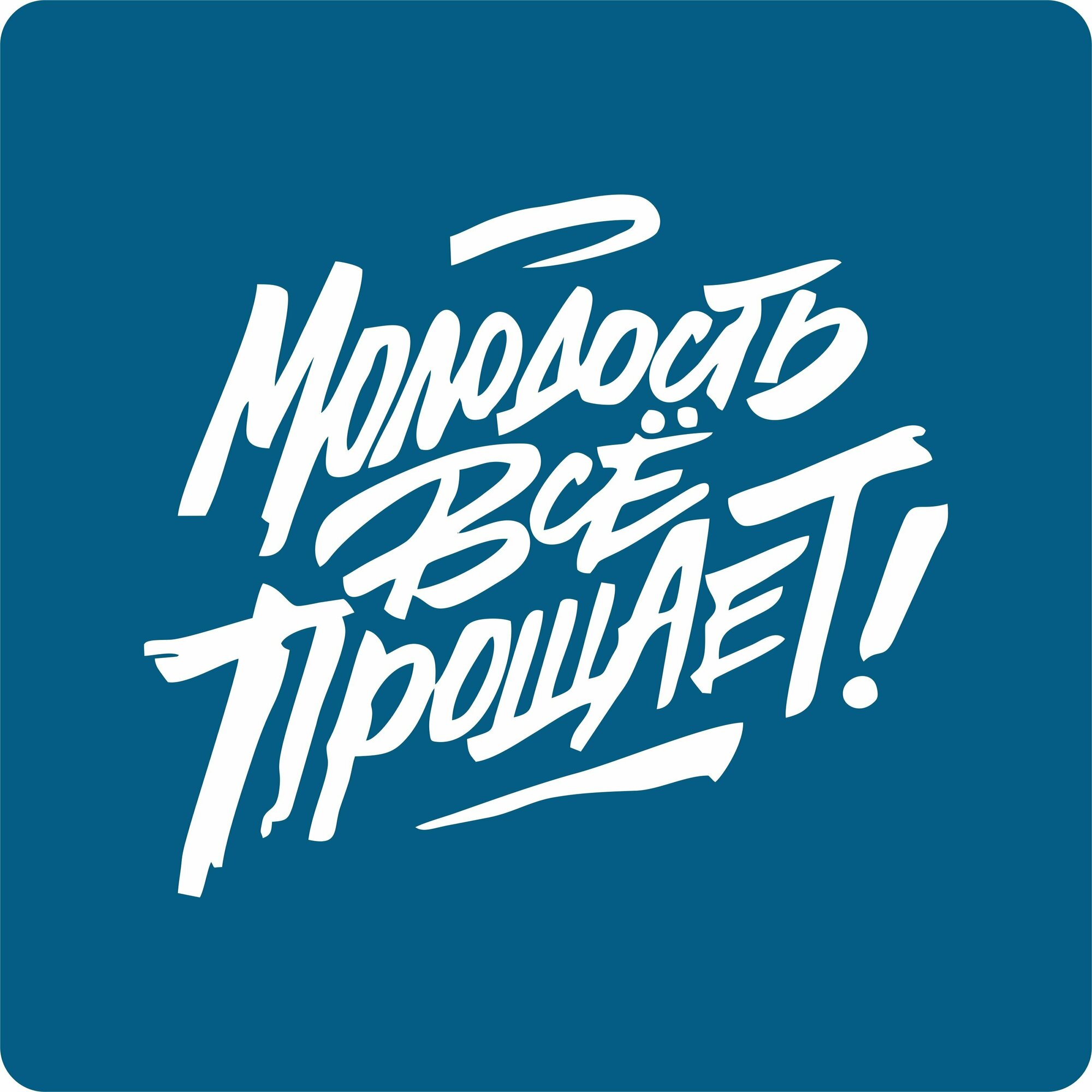 Наклейки на авто стикеры Молодость всё прощает 40х34 см, красникова, наклейка тюнинг, на автомобиль, машину, прикольные