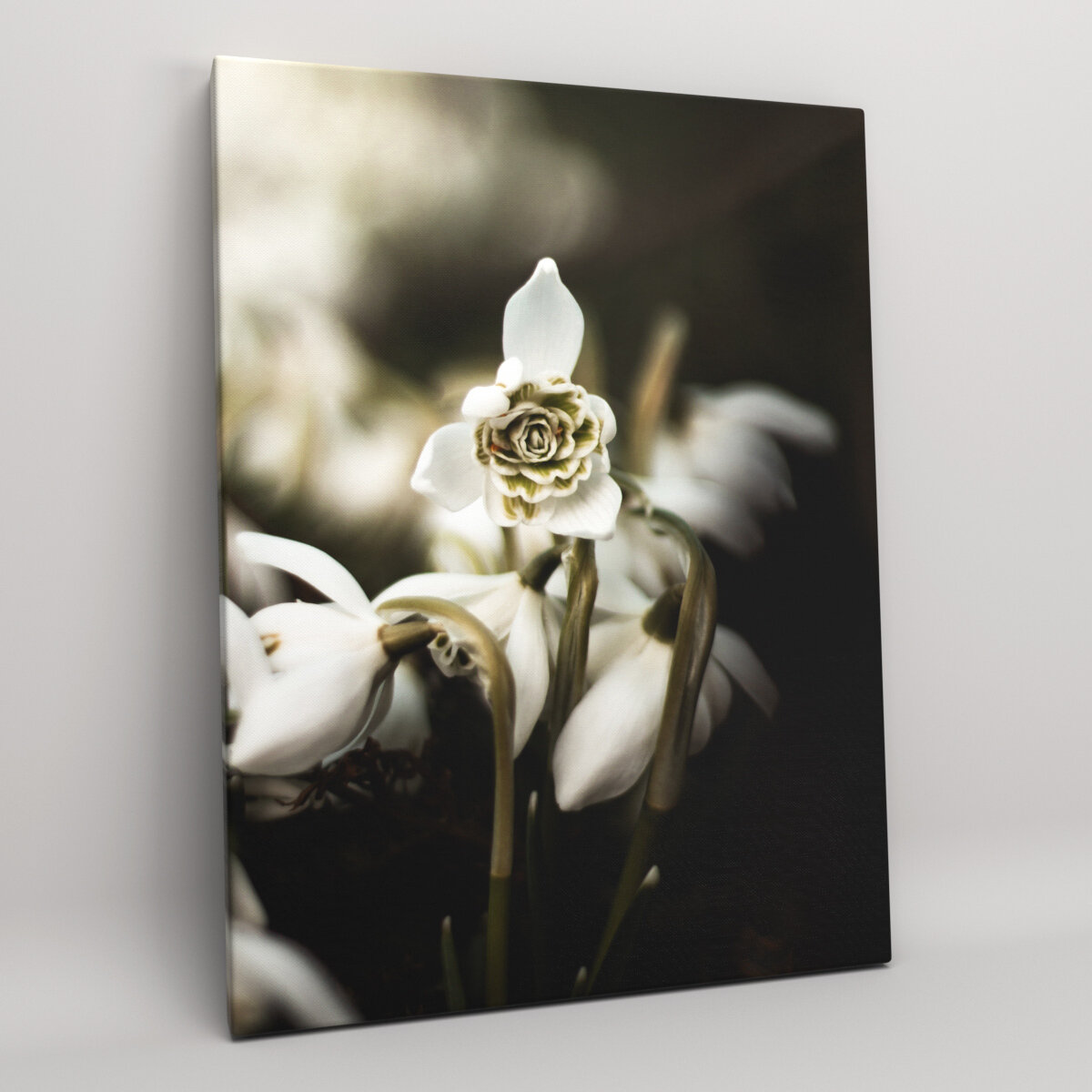 Картина на холсте (интерьерный постер) "Подснежник" растения, с деревянным подрамником, размер 30х40 см