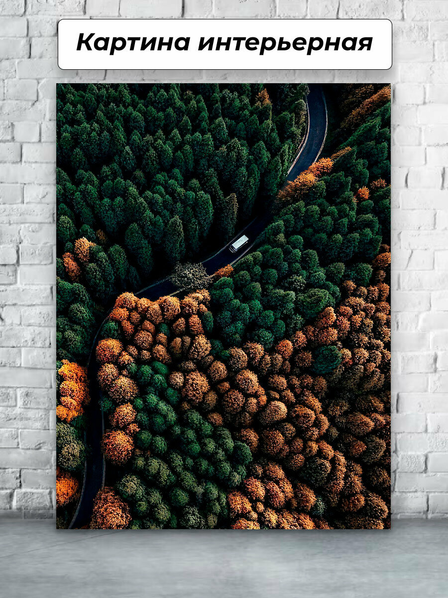 Картины для интерьера 50х70 Дорога в лесу дерья вид сверху
