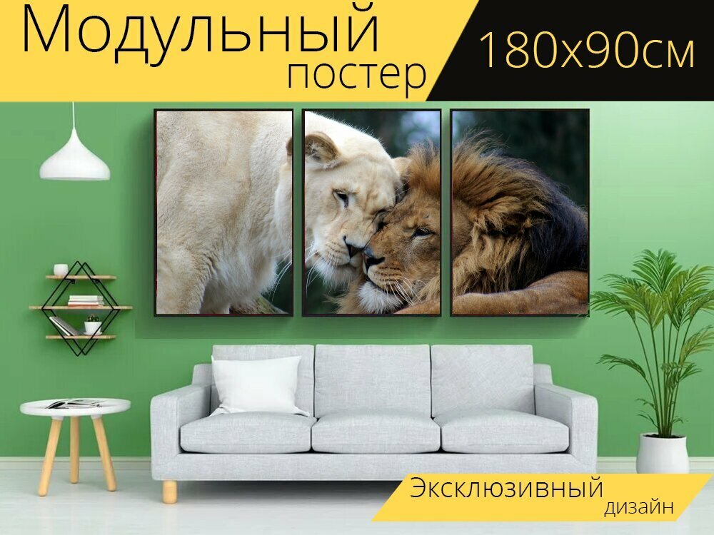 Модульный постер "Лев, львица, большой кот" 180 x 90 см. для интерьера