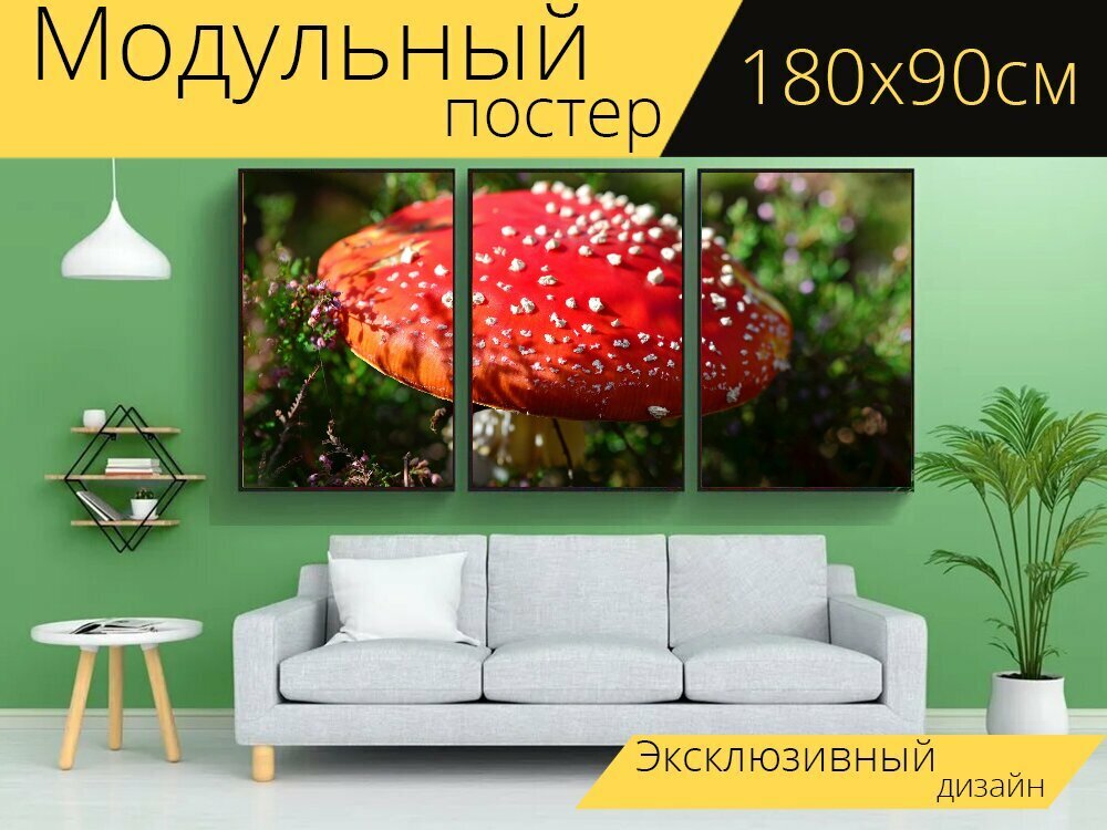 Модульный постер "Поганка, гриб, красный мухомор" 180 x 90 см. для интерьера