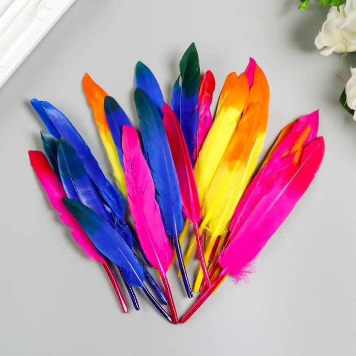 Перья декоративные карнавальные Остров сокровищ Прямые, 10-15 см, 24 шт, 6 цветов, двухцветные (661381)