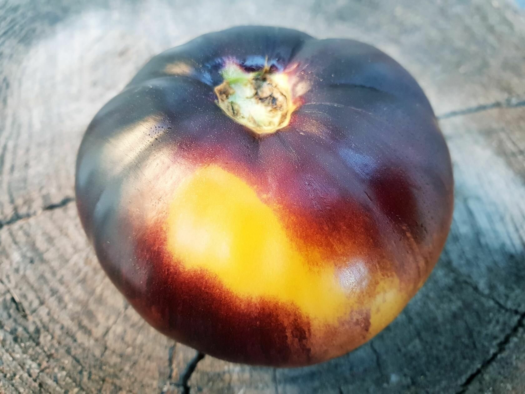 Коллекционные семена томата Послеобеденный Восторг