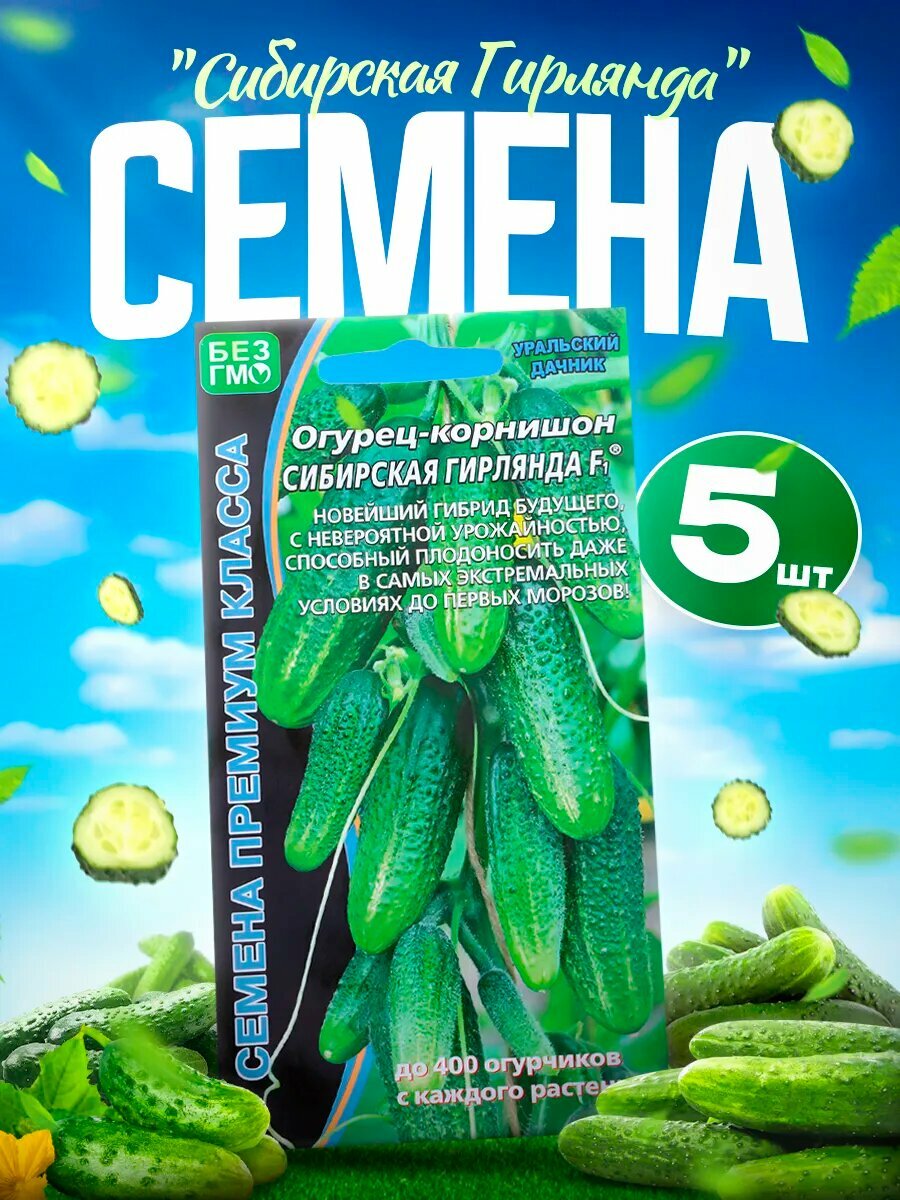 Семена Огурец "Сибирская Гирлянда" F1 скороспелый, партенокарпический, 5 шт
