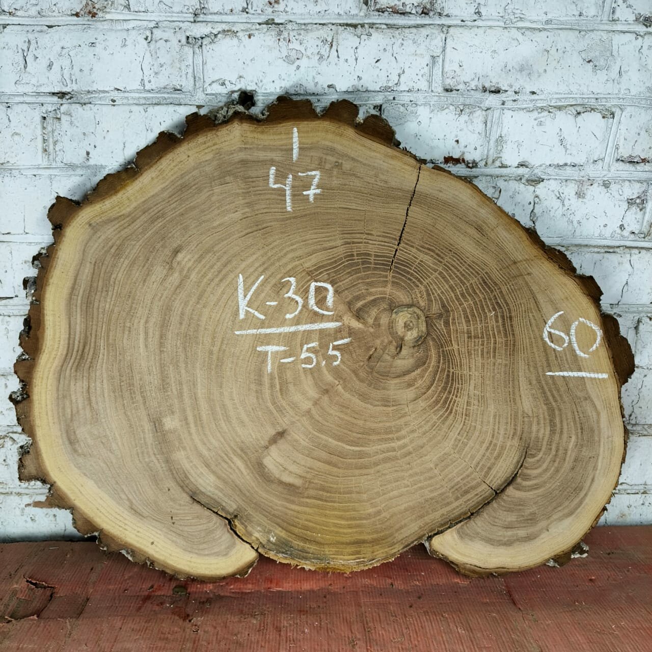 Торцевой спил дерева Карагач К-30, калиброванный, шлифованный, цельный, сухой, диаметр 47-60см