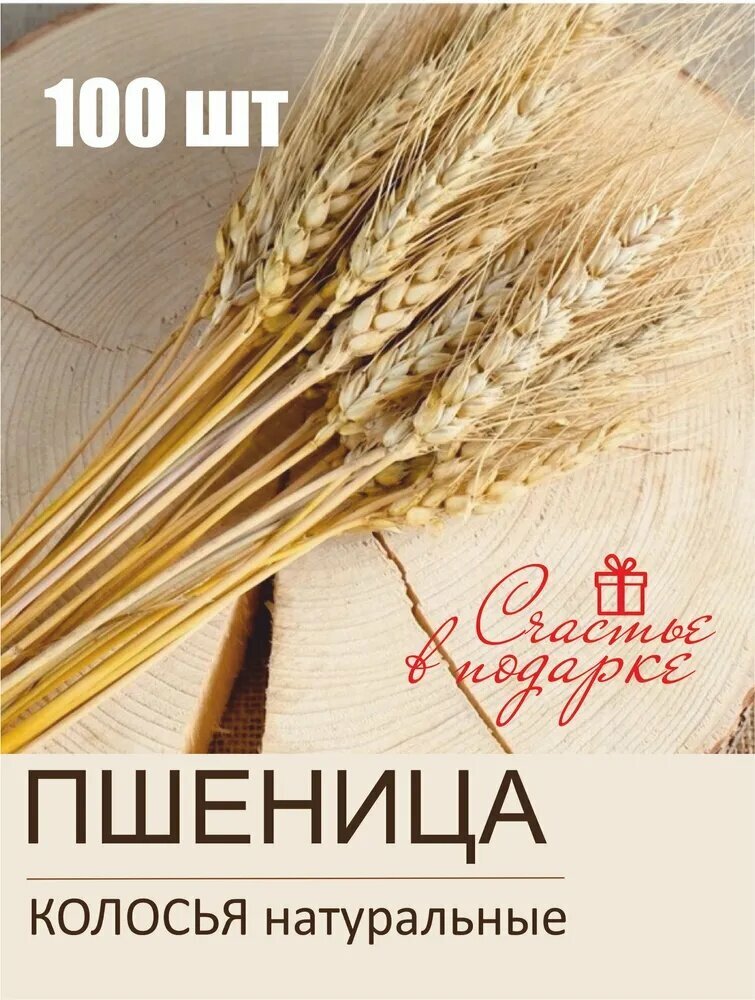 Сухоцветы Пшеница, 60 см, 240 гр, 1 шт