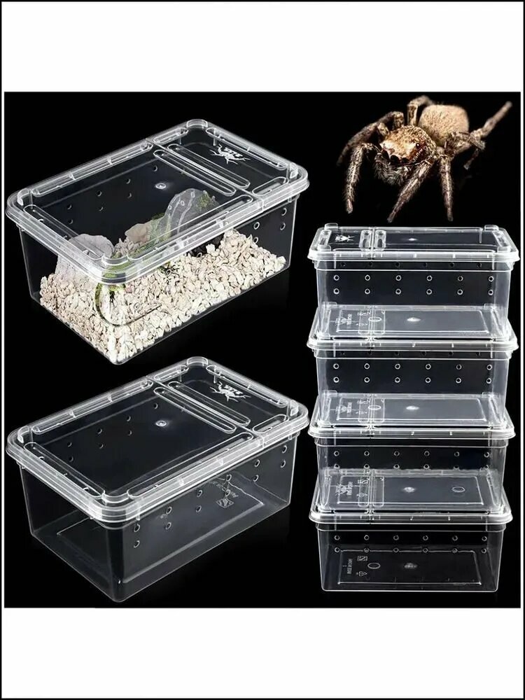 Эксклюзивный контейнер из полипропилена 19х12х7.5 см для содержания рептилий, мелких животных и членистоногих: змей, ящериц, ежей, хомяков и скорпионов