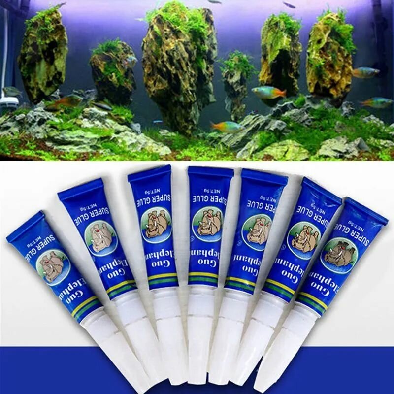 7 шт. Коралловые фраги и мох водных растений, прикрепленные к мгновенному клею для каменного аквариума