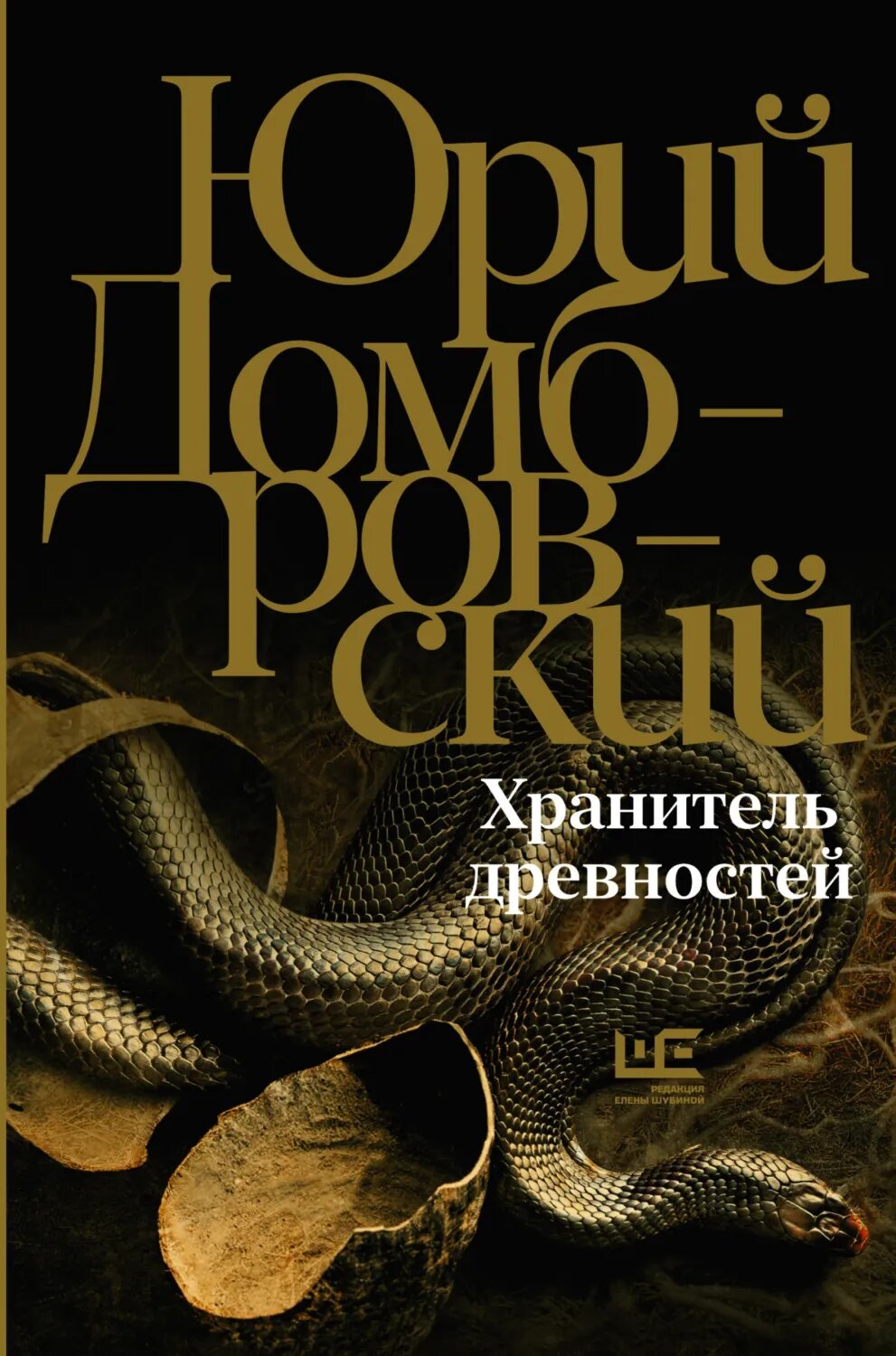 Хранитель древностей [Цифровая книга]