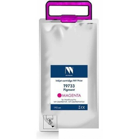 NV Print NV-C13T973300