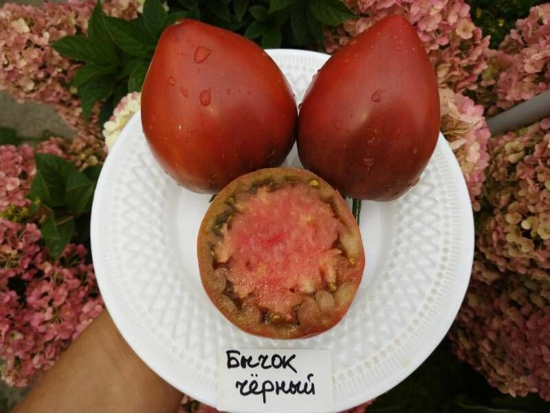 Коллекционные семена томата Бычок Чёрный