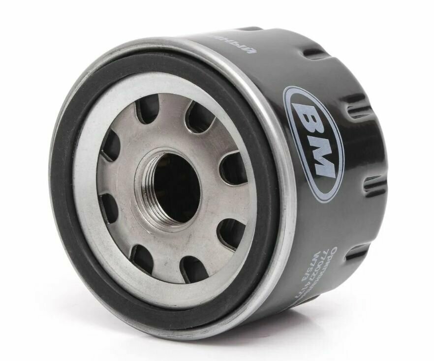 Фильтр масляный для LADA Largus, Renault Logan, Megane 2, Duster, Лада Ларгус, Рено Логан, Меган 2, Дастер арт FO5406