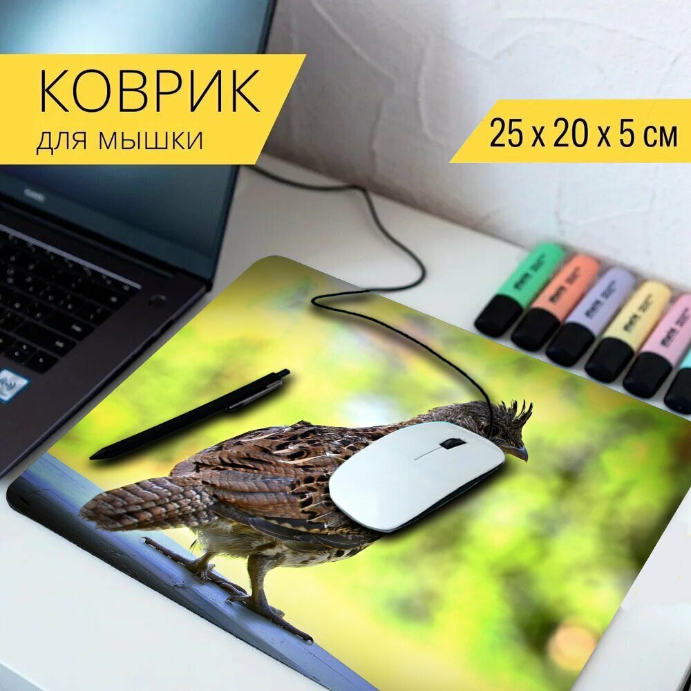 Коврик для мыши с принтом "Гривистый тетерев, птица, животное" 25x20см.