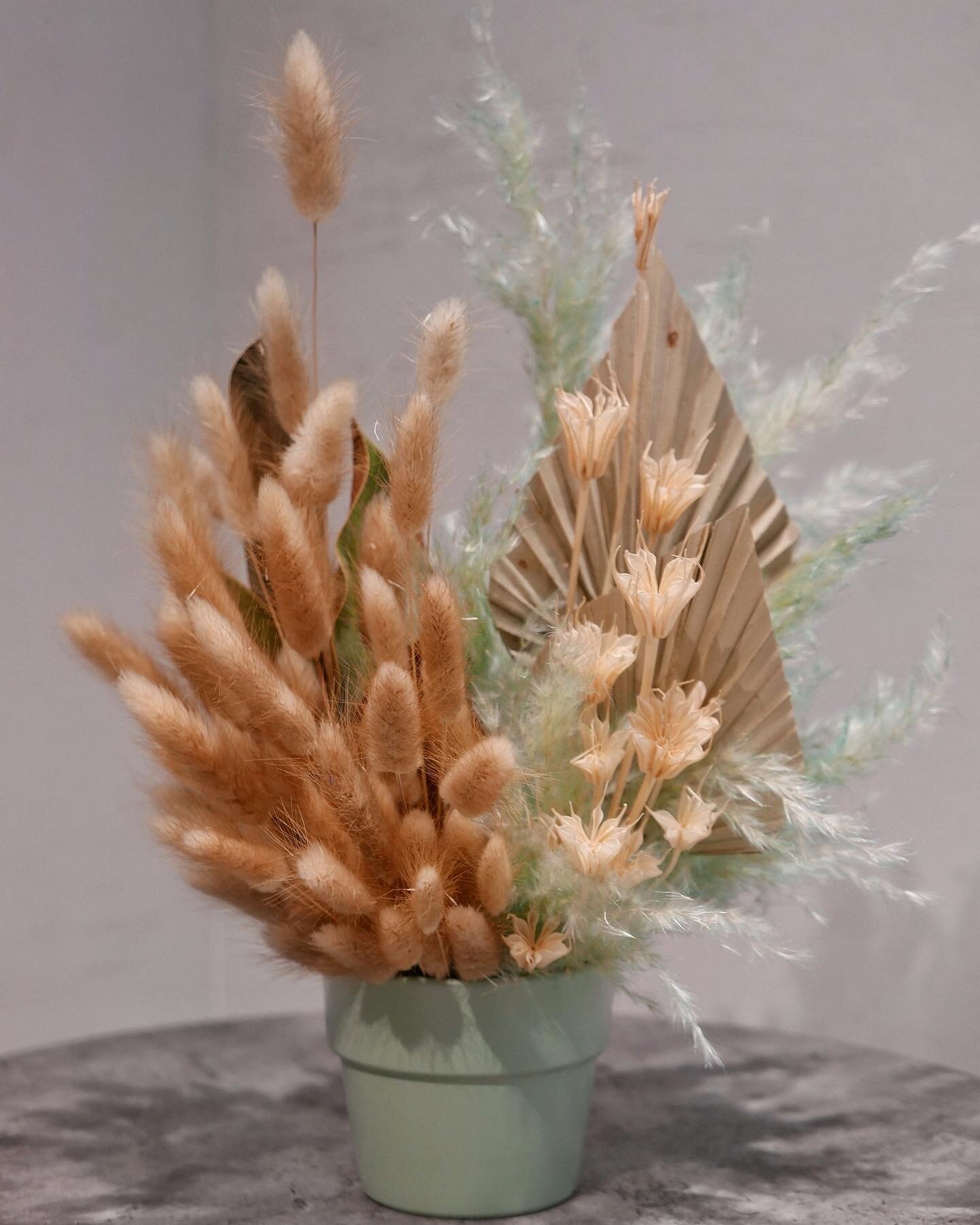 Композиция из сухоцветов лагуруса, картадерии и листья пальмы