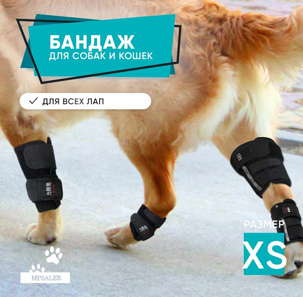 Бандаж для собак и кошек на заднюю и переднюю лапу. Размер XS.