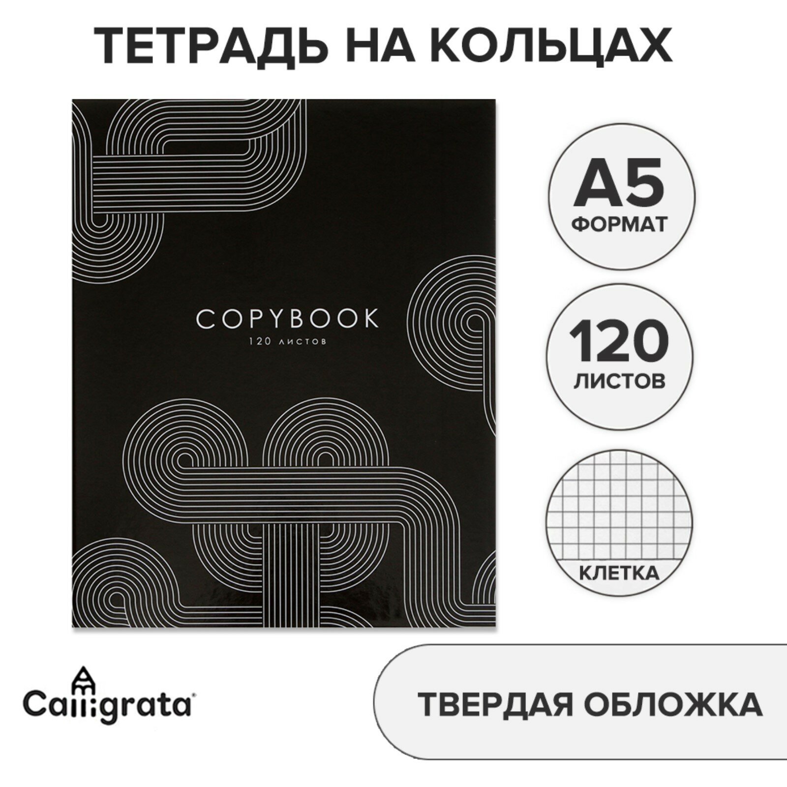 Calligrata Тетрадь на кольцах со сменным блоком в клетку, 120 листов "Графика", обложка 7БЦ, блок офсет
