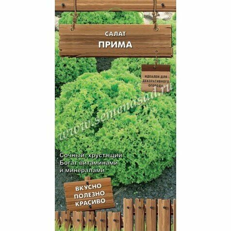 Семена салата Прима, 1г