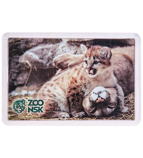 Магнит Новосибирский зоопарк МТ-001/24 113-7011595