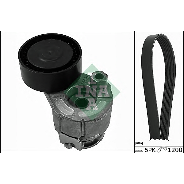 INA 529001510 (7701476475) комплект роликов