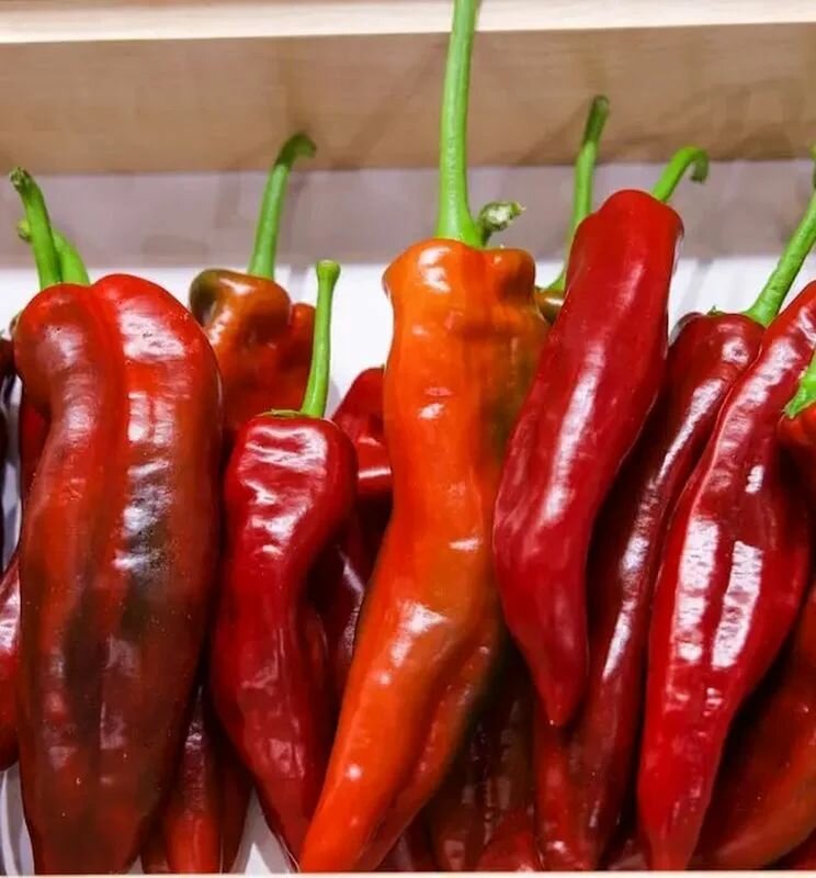 Коллекционные семена перца острого Ереванский