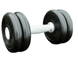 Гантель IronKing профессиональная 12 кг цена за штуку