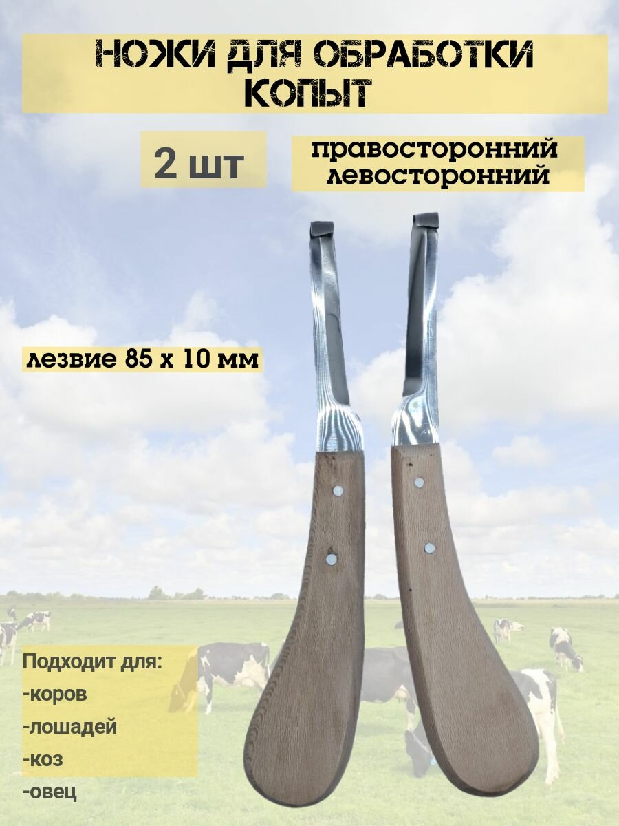 Ножи для обработки копыт узкие деревянная ручка 2 шт